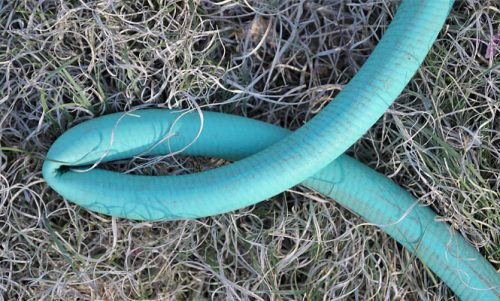 Kinked Garden Hose 100ft Expandable Garden Hose With 9 Function Nozzle